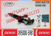 China 095000-5981 for Isuzu 6HK1 4HK1 Common Rail Injector 8-97603099-1 0950005981 8976030991 for sale