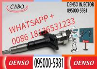 China 095000-5981 for Isuzu 6HK1 4HK1 Common Rail Injector 8-97603099-1 0950005981 8976030991 for sale