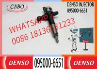 China New Diesel Common Rail Fuel Injector 095000-6651 8-98030550-1 for Engine for sale