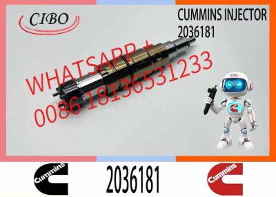 China COMMON FUEL INJECTOR 2036181 4307217 2872056 4326959 2872284 4326989 2872405 4397488 2872544 2894920 2897320 for sale