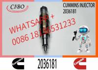 China COMMON FUEL INJECTOR 2036181 4307217 2872056 4326959 2872284 4326989 2872405 4397488 2872544 2894920 2897320 for sale