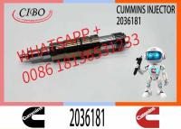China COMMON FUEL INJECTOR 2036181 4307217 2872056 4326959 2872284 4326989 2872405 4397488 2872544 2894920 2897320 for sale