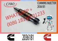 China COMMON FUEL INJECTOR 2036181 4307217 2872056 4326959 2872284 4326989 2872405 4397488 2872544 2894920 2897320 for sale