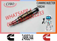 China Fuel Injector 2488244 574232 for DC09 DC13 DC16 Engine for sale