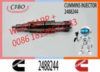 China Fuel Injector 2488244 574232 for DC09 DC13 DC16 Engine for sale
