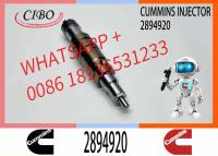 China 2894920 5579415 2894920PX 2894920NX Engine Parts Injector Diesel Fuel Injector for C-ummins X15 ISX15 QSX15 ISX QSX ISXE CM2250 for sale