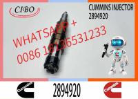 China 2894920 5579415 2894920PX 2894920NX Engine Parts Injector Diesel Fuel Injector for C-ummins X15 ISX15 QSX15 ISX QSX ISXE CM2250 for sale