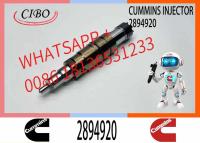 China 2894920 5579415 2894920PX 2894920NX Engine Parts Injector Diesel Fuel Injector for C-ummins X15 ISX15 QSX15 ISX QSX ISXE CM2250 for sale