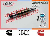 China 2894920 5579415 2894920PX 2894920NX Engine Parts Injector Diesel Fuel Injector for C-ummins X15 ISX15 QSX15 ISX QSX ISXE CM2250 for sale