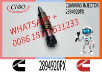 China New Fuel Injector 4327147 4307217 2897320 2894920PX 5579415 5579415PX 2872405 2894920 4327147RX 6513589PX for sale