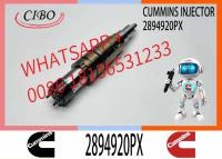 China New Fuel Injector 4327147 4307217 2897320 2894920PX 5579415 5579415PX 2872405 2894920 4327147RX 6513589PX for sale