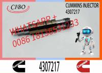 China COMMON FUEL INJECTOR 2036181 4307217 2872056 4326959 2872284 4326989 2872405 4397488 2872544 2894920 2897320 for sale