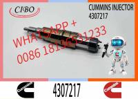 China COMMON FUEL INJECTOR 2036181 4307217 2872056 4326959 2872284 4326989 2872405 4397488 2872544 2894920 2897320 for sale