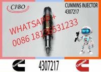 China COMMON FUEL INJECTOR 2036181 4307217 2872056 4326959 2872284 4326989 2872405 4397488 2872544 2894920 2897320 for sale