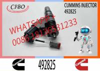 China New Diesel Fuel Injector 3411754 3411755 492825 4928517 for Diesel Engine (Steel) for sale