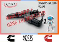 China New Diesel Fuel Injector 3411754 3411755 492825 4928517 for Diesel Engine (Steel) for sale