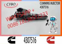 China Common Rail Fuel Injector 3411765 3411766 3411767 4307516 4307776 4307795 for Sprayer Excavator N14 Injector Truck Parts for sale