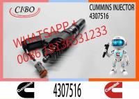 China Common Rail Fuel Injector 3411765 3411766 3411767 4307516 4307776 4307795 for Sprayer Excavator N14 Injector Truck Parts for sale