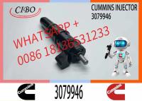 China Auto Parts Auto Parts Diesel Engine NT855 Fuel Injector 3071494 3071497 3079946 4914328 for sale