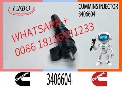 China New Diesel Common Rail Injector 3406604 3411821 3071497 3087648 4914328 3018835 3079946 for C-ummins M11 Engine Steel Material for sale