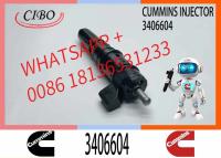 China New Diesel Common Rail Injector 3406604 3411821 3071497 3087648 4914328 3018835 3079946 for C-ummins M11 Engine Steel Material for sale
