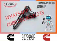 China Common Rail Fuel Injector 4307795 3073995F for Cum-mins QSN14 N14 Engine for sale