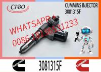 China Common Rail Fuel Injector 4384360 4902924 6087807 3073995F 3080931F 3081315F for Sprayer Excavator N14 Injector Truck Parts for sale