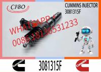 China Common Rail Fuel Injector 4384360 4902924 6087807 3073995F 3080931F 3081315F for Sprayer Excavator N14 Injector Truck Parts for sale