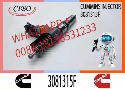 China Common Rail Fuel Injector 4384360 4902924 6087807 3073995F 3080931F 3081315F for Sprayer Excavator N14 Injector Truck Parts for sale