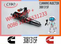 China Common Rail Fuel Injector 4384360 4902924 6087807 3073995F 3080931F 3081315F for Sprayer Excavator N14 Injector Truck Parts for sale