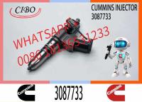 China Common Rail Fuel Injector 3087560 3087733 3087807 3407776 3409975 3411381 for Sprayer Excavator N14 Injector Truck Parts for sale