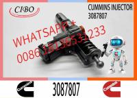China 3411761 3095086 3087807 Diesel Fuel Injector 3411381 4902921 for N14 QSN14 for sale