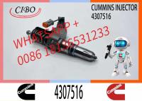 China 4307516 New Fuel Injector 4307516 for Diesel Engine QSN14 N14 4307516 3411691 3087560 3411765 for sale
