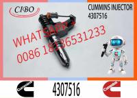 China 4307516 New Fuel Injector 4307516 for Diesel Engine QSN14 N14 4307516 3411691 3087560 3411765 for sale