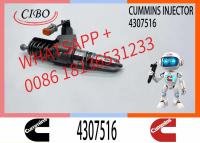 China 4307516 New Fuel Injector 4307516 for Diesel Engine QSN14 N14 4307516 3411691 3087560 3411765 for sale