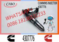 China Common Rail Fuel Injector 3411765 3411766 3411767 4307516 4307776 4307795 for Sprayer Excavator N14 Injector Truck Parts for sale