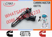 China Common Rail Fuel Injector 3411765 3411766 3411767 4307516 4307776 4307795 for Sprayer Excavator N14 Injector Truck Parts for sale