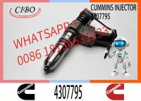 China Factory High-quality Truck Engine Assembly Parts Diesel Fuel Injector 4307795 3087557 4902924 3037772 4928171 for N14 Engine for sale