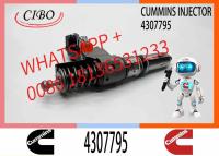 China Factory High-quality Truck Engine Assembly Parts Diesel Fuel Injector 4307795 3087557 4902924 3037772 4928171 for N14 Engine for sale
