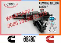 China Common Rail Fuel Injector 4384360 4902924 6087807 3073995F 3080931F 3081315F for Sprayer Excavator N14 Injector Truck Parts for sale
