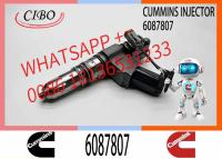 China Common Rail Fuel Injector 4384360 4902924 6087807 3073995F 3080931F 3081315F for Sprayer Excavator N14 Injector Truck Parts for sale