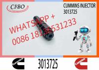 China Fuel Injectors 3054218 3054213 3013725 3047985 3018566 Compatible With Cum-mins Engine N855 NT855 NH855 NTC NH for sale