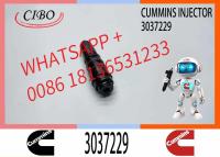 China High Quality New Fuel Injector 3045102 3027588 3037229 for L10 Diesel Engine for sale