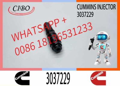 China High Quality New Fuel Injector 3045102 3027588 3037229 for L10 Diesel Engine for sale