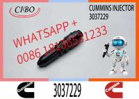 China High Quality New Fuel Injector 3045102 3027588 3037229 for L10 Diesel Engine for sale