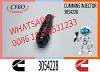 China Genuine for Engine Part Injector 3047973 3054233 3054228 for NTA855 NT855 Diesel Engine Construction Machinery Spare Parts for sale