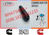 China CCEC NT855 Engine Fuel System Fuel Injector 3054233 3024147 for sale