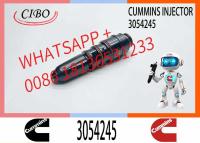China Auto Parts Auto Parts Diesel Engine NT855 Fuel Injector 3054242 3054245 3047964 for sale