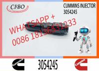China Auto Parts Auto Parts Diesel Engine NT855 Fuel Injector 3054242 3054245 3047964 for sale