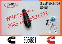 China High-quality Auto Parts Common Rail Fuel Injector 3064881 3066176 for sale